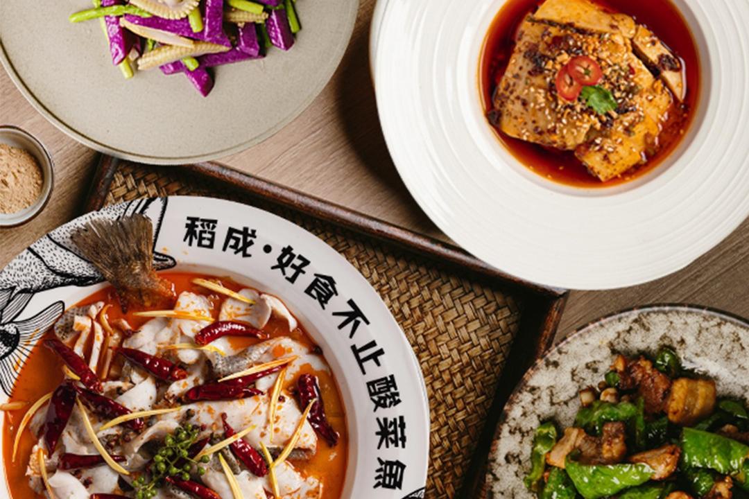Reg Price 12% Off on Deluxe Set Menu | Dab-pa Modern Chinese Cuisine ...